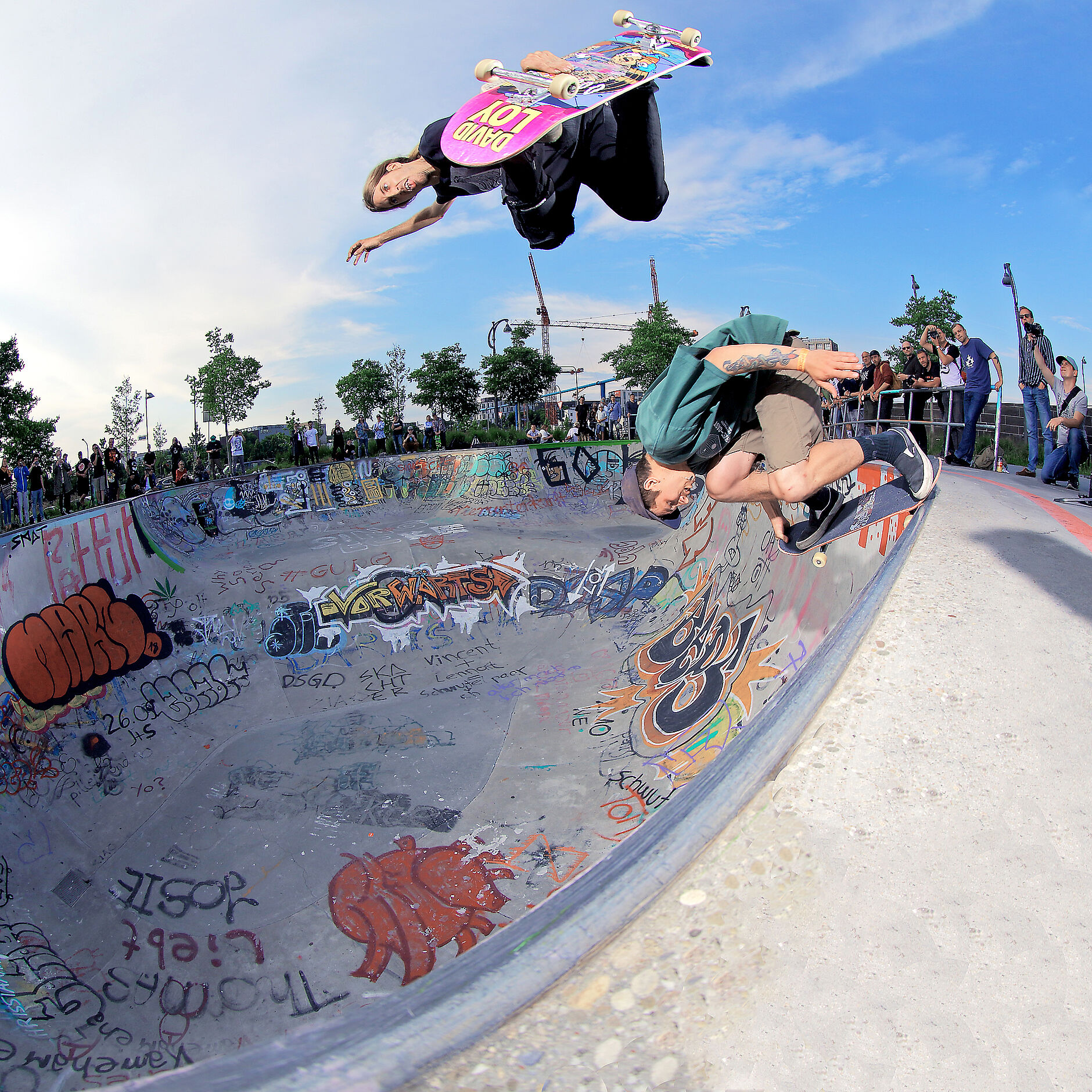 The right skateboard for beginners | Titus