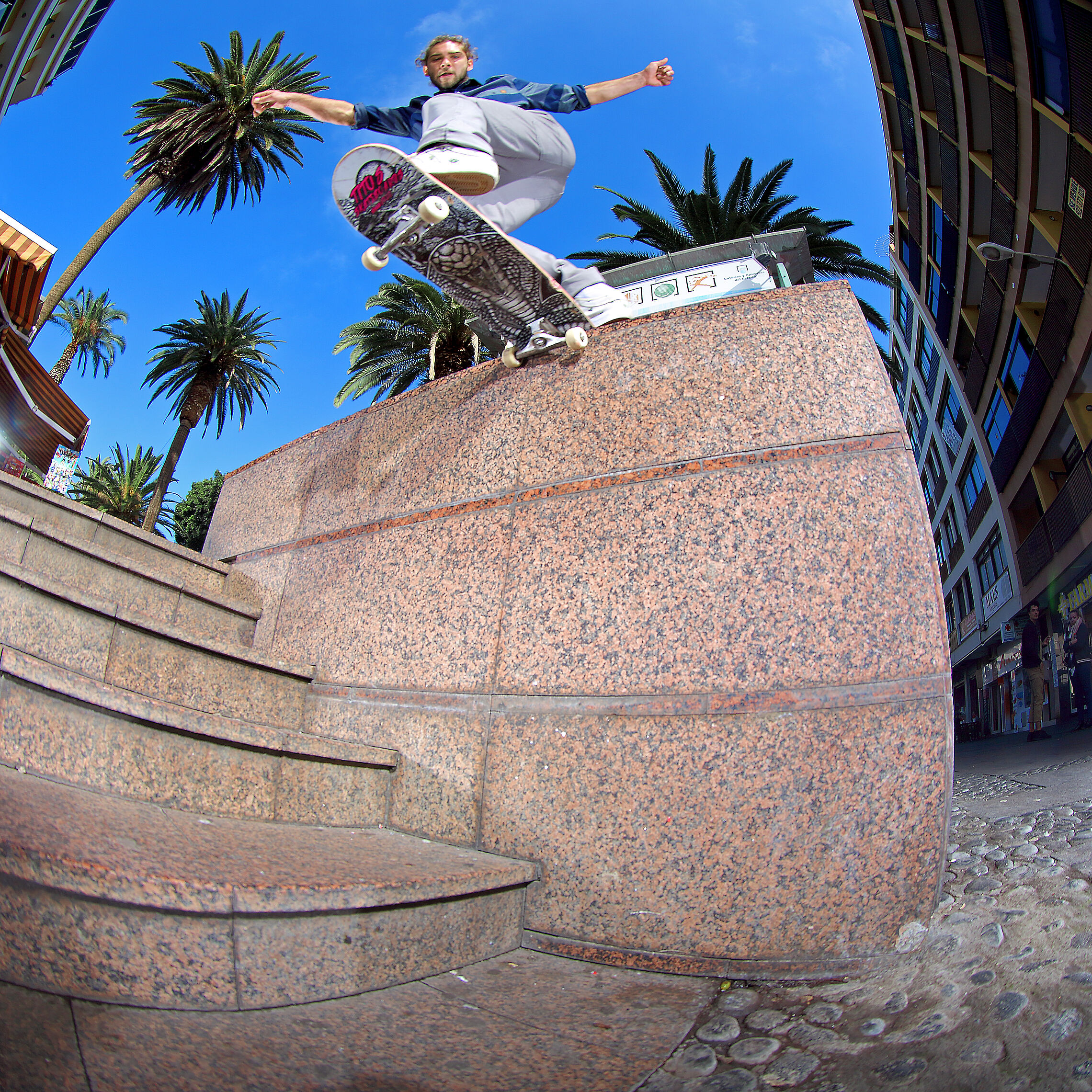 The right skateboard for beginners | Titus
