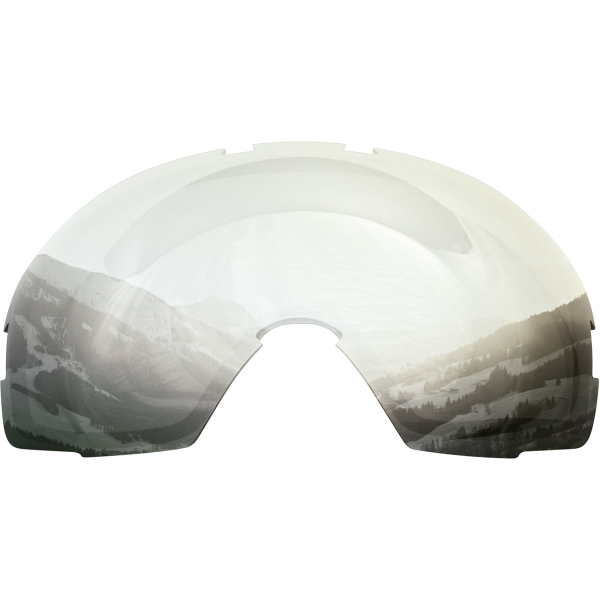 Replacement Lens Goggle One TSG Snowboard Goggle in black-chrome – TITUS